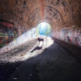 Moonville Tunnel Rail Trail: Tunnel Section, Ohio - 310 Reviews, Map ...