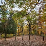 Moonville Tunnel Rail Trail: Tunnel Section, Ohio - 310 Reviews, Map ...