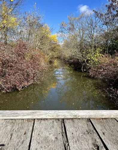 Best Hikes and Trails in Turkeyfoot Preserve | AllTrails