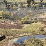 High Point Trail and Rock Top, Illinois - 189 Reviews, Map | AllTrails