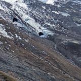 McNeil Point Trail, Oregon - 2,741 Reviews, Map | AllTrails