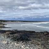 Marginal Way, Maine - 1,508 Reviews, Map | AllTrails