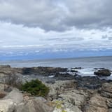 Marginal Way, Maine - 1,508 Reviews, Map | AllTrails