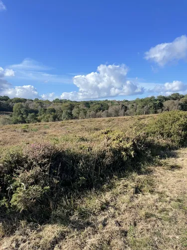 Best Lake Trails in East Devon National Landscape (AONB) | AllTrails