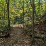 Lost Canyon Trail, Wisconsin - 933 Reviews, Map | AllTrails