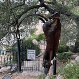 Bisbee 1000 (The Great Stair Climb), Arizona - 618 Reviews, Map | AllTrails