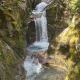 Comet Falls via Van Trump Trail, Washington - 2,344 Reviews, Map ...