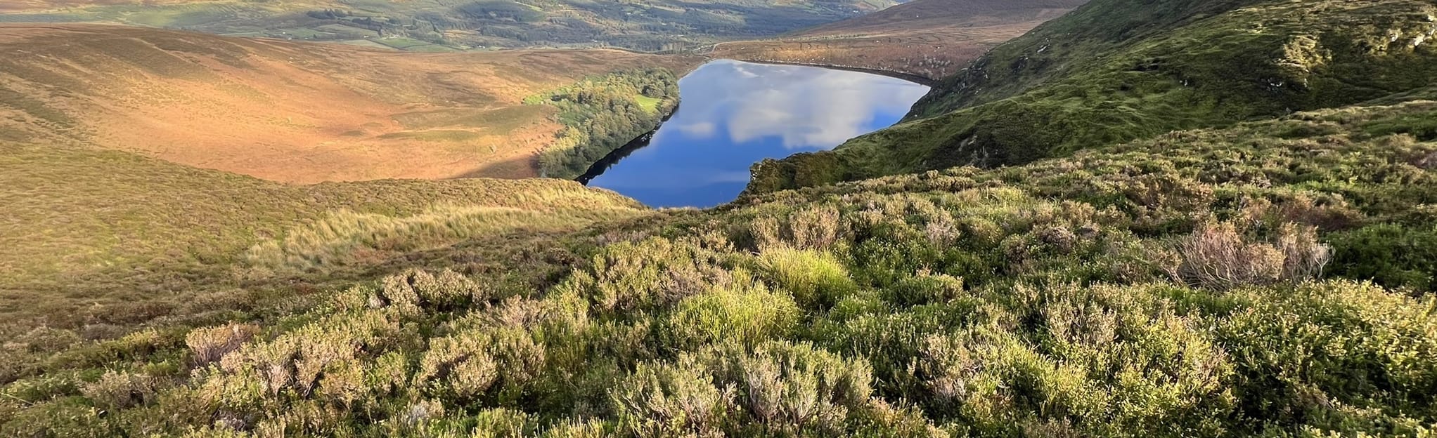 Lower Lough Bray Loop: 407 foto's - County Wicklow, Ierland | Wandelen ...