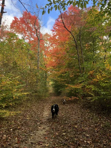 Best Hikes and Trails in German Ridge Recreation Area | AllTrails