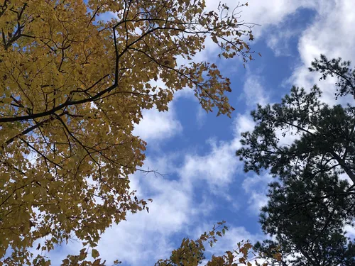 Best Hikes and Trails in German Ridge Recreation Area | AllTrails