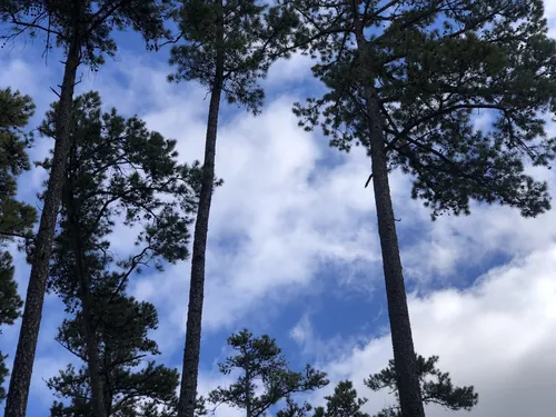 Best Hikes and Trails in German Ridge Recreation Area | AllTrails