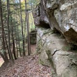 Hemlock Cliffs National Scenic Trail, Indiana - 1,138 Reviews, Map ...