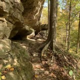 Hemlock Cliffs National Scenic Trail, Indiana - 1,138 Reviews, Map ...