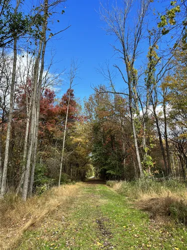 Best Hikes and Trails in Dismal Swamp Conservation Area | AllTrails