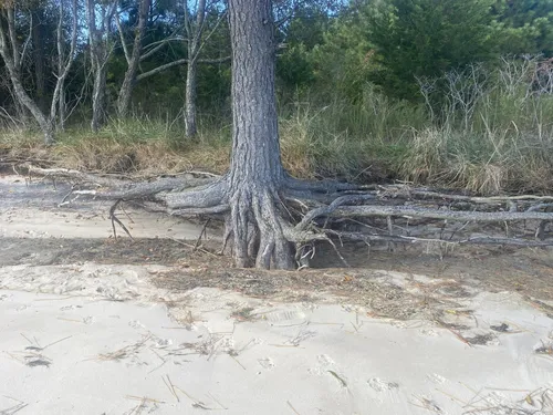 Best Hikes and Trails in Marian R. Okie Memorial Wildlife Preserve ...