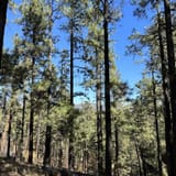 Mars Hill Trail, Arizona - 1,222 Reviews, Map | AllTrails