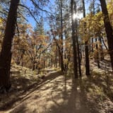 Mars Hill Trail, Arizona - 1,222 Reviews, Map | AllTrails