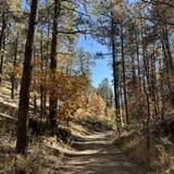 Mars Hill Trail, Arizona - 1,222 Reviews, Map | AllTrails