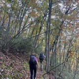 Tioga West Rim Trail, Pennsylvania - 551 Reviews, Map | AllTrails