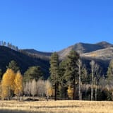 Inner Basin Trail, Arizona - 881 Reviews, Map | AllTrails