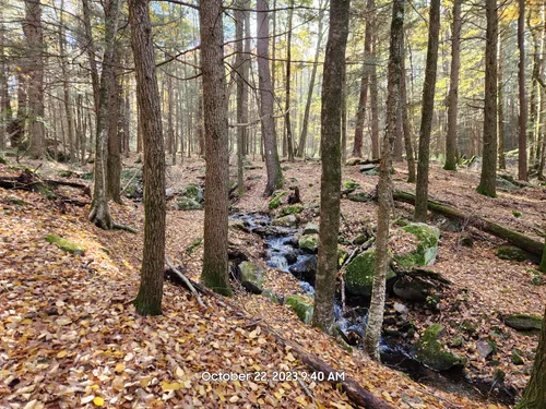 Best Hikes and Trails in Nipmuck State Forest | AllTrails