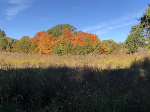 Best Hikes and Trails in Stemler Cave Woods Nature Preserve | AllTrails