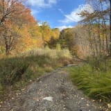Ramapo Reservation Loop Trail, New Jersey - 1,642 Reviews, Map | AllTrails