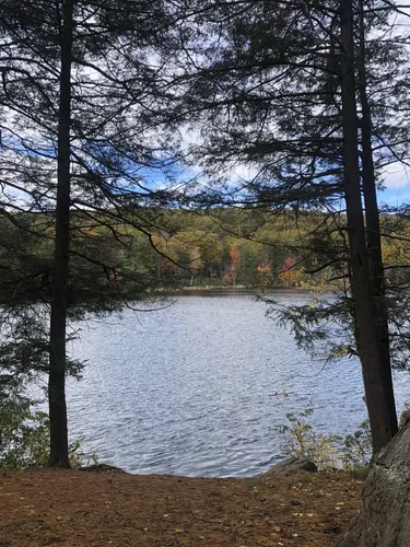 Best Hikes and Trails in Nipmuck State Forest | AllTrails