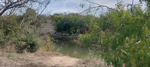 Best Hikes and Trails in Trinity River Mountain Creek Preserve | AllTrails