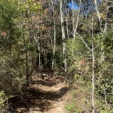 Mazeppa Park Trail, North Carolina - 465 Reviews, Map | AllTrails