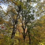 Quaking Bog Loop, Minnesota - 396 Reviews, Map | AllTrails