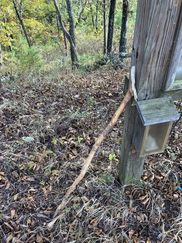 Best Hikes and Trails in Mountain Longleaf National Wildlife Refuge ...