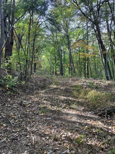 Best Hikes and Trails in Mountain Longleaf National Wildlife Refuge ...