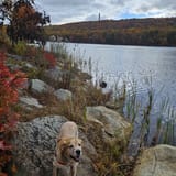 Monument Trail Loop, New Jersey - 1,793 Reviews, Map | AllTrails