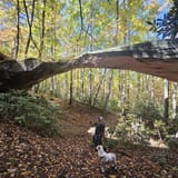 Hazard Cave and Natural Bridge Trail, Tennessee - 367 Reviews, Map ...
