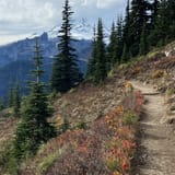 Naches Peak Loop Trail, Washington - 4,613 Reviews, Map | AllTrails