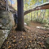 Hazard Cave and Natural Bridge Trail, Tennessee - 367 Reviews, Map ...