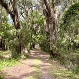 Cannon’s Point Preserve, Georgia - 146 Reviews, Map | AllTrails