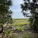 Cannon’s Point Preserve, Georgia - 146 Reviews, Map | AllTrails