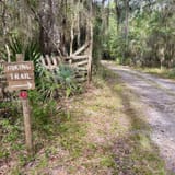 Cannon’s Point Preserve, Georgia - 146 Reviews, Map | AllTrails