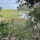 Cannon’s Point Preserve, Georgia - 146 Reviews, Map | AllTrails