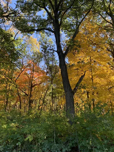 Best Hikes and Trails in Hidden Lake County Forest Preserve | AllTrails