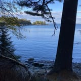 Compass Harbor Trail, Maine - 702 Reviews, Map | AllTrails