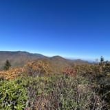 Graybeard Trail, North Carolina - 1,733 Reviews, Map | AllTrails