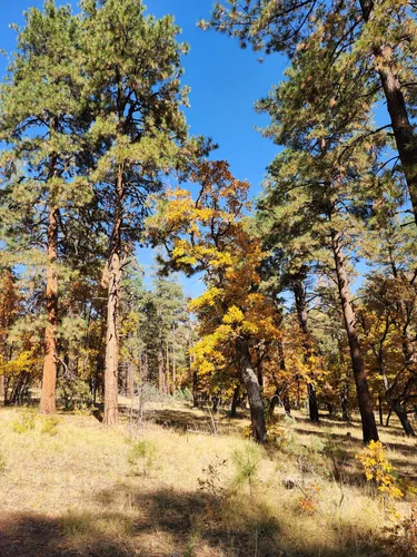 Best Hikes and Trails in Alpine | AllTrails