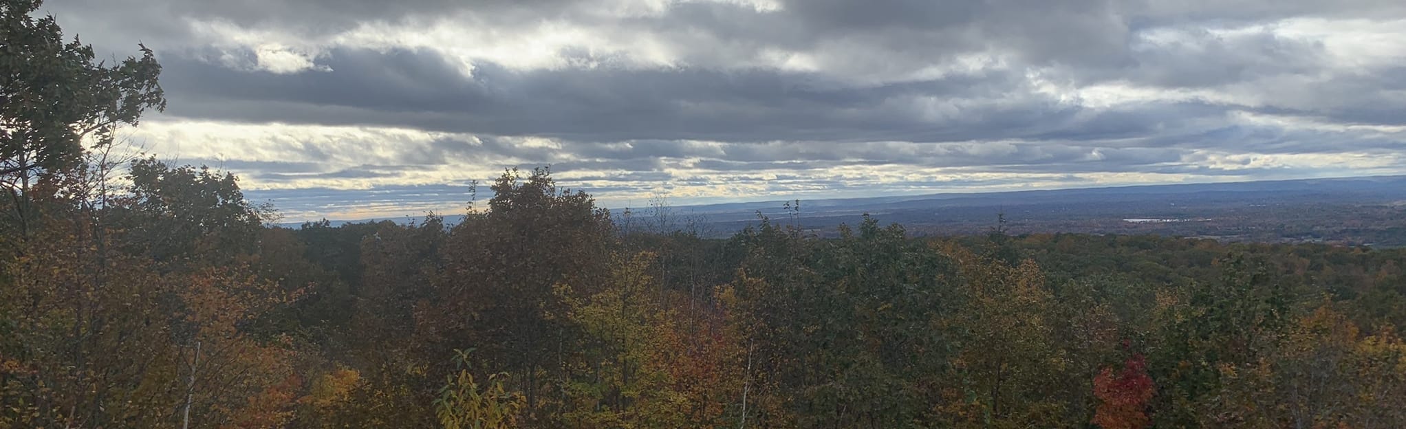 Shenipsit State Forest Loop, Connecticut - 289 Reviews, Map | AllTrails