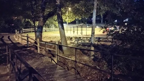 Best Hikes and Trails in Calvin Farmer Park | AllTrails