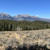 Meadow Loop and Ridge Trail, Colorado - 3,196 Reviews, Map | AllTrails