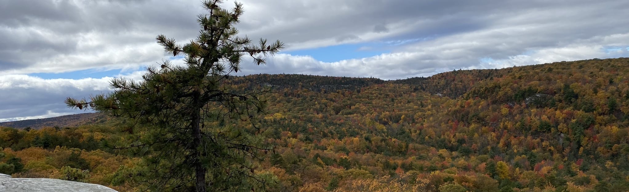 High Peters Kill Trail, New York - 251 Reviews, Map | AllTrails