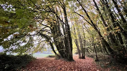 Best Hikes and Trails in Joe Dancer Park | AllTrails